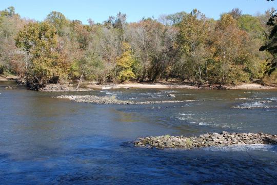 Campground Details - Raven Rock State Park, NC - North Carolina State Parks