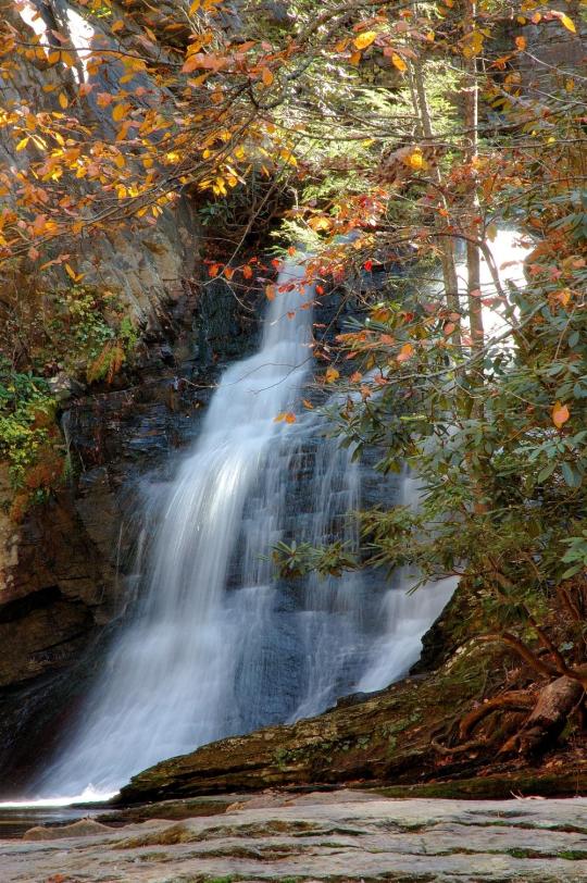 Campground Details - Hanging Rock State Park, NC - North Carolina State ...