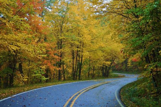 Campground Details - Mount Jefferson State Natural Area, NC - North ...