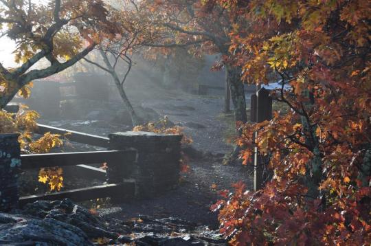 Campground Details - Mount Jefferson State Natural Area, NC - North ...