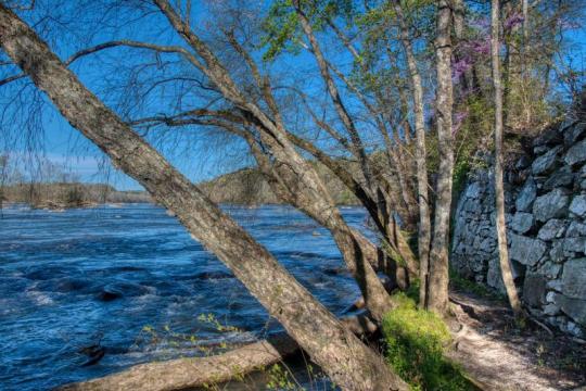 Campground Details - Pilot Mountain State Park, NC - North Carolina ...